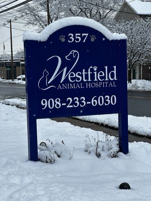 WESTFIELD ANIMAL HOSPITAL - Updated May 2026 - 40 Photos & 74 Reviews ...