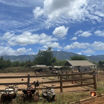 NORTH SHORE STABLES - Updated July 2024 - 478 Photos & 166 Reviews - 67 ...