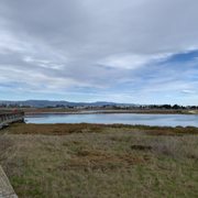 BAYLANDS PARK TRAIL - 367 Photos & 111 Reviews - Parks - 999 E ...