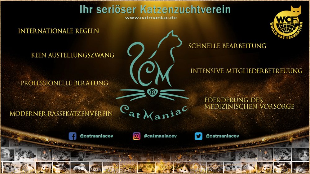 CATMANIAC - Michael-Kurz-Str., Vilshofen an der Donau, Bayern, Germany - Community Service/Non ...