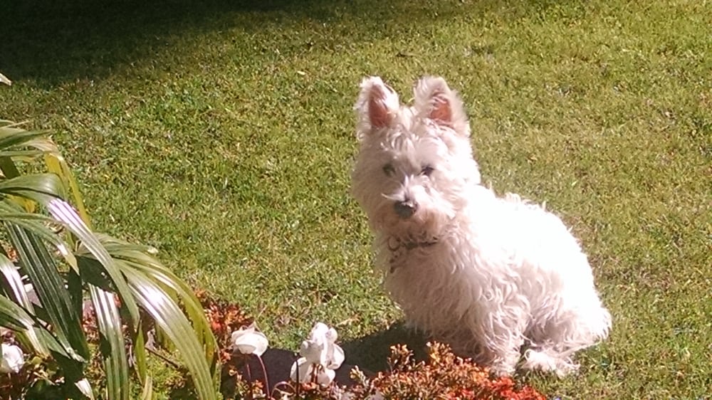 ALL STAR CAB - 3104 E Camelback Rd, Phoenix, Arizona - Taxis - Phone ...