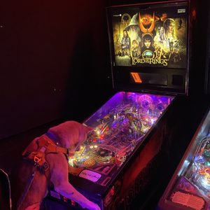 ELI’S MILE HIGH CLUB - 107 Photos & 175 Reviews - Music Venues - 3629 Martin Luther King Jr Way ...