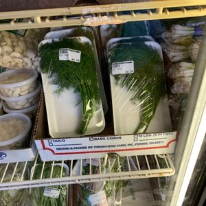 TOCHI PRODUCTS - Updated August 2025 - 17 Reviews - 1111 2nd Ave N ...