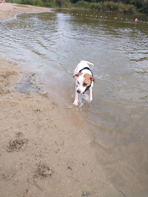 MINOOKA PARK - Updated December 2025 - 124 Photos & 31 Reviews - 1927 E ...