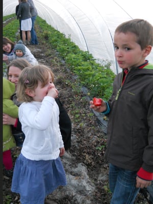 LA CUEILLETTE DU CHÊNE VERT - Updated September 2024 - Pont du Benkies ...