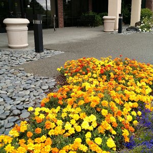 SANTA ROSA IMAGING MEDICAL CENTER - Updated December 2024 - 18 Photos ...