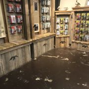 DUCK COMMANDER - 401 Photos & 64 Reviews - 117 Kings Ln, West Monroe ...