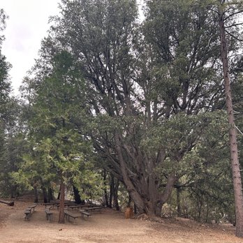 IDYLLWILD NATURE CENTER - Updated November 2025 - 288 Photos & 70 ...