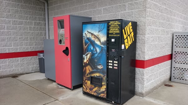 DANDY - Updated December 2025 - 3149 State Route 352, Big Flats, New ...