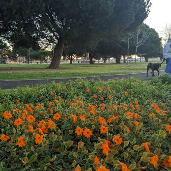 RIO LINDO PARK - Updated December 2025 - 28 Photos - 901 Blanca Pl ...