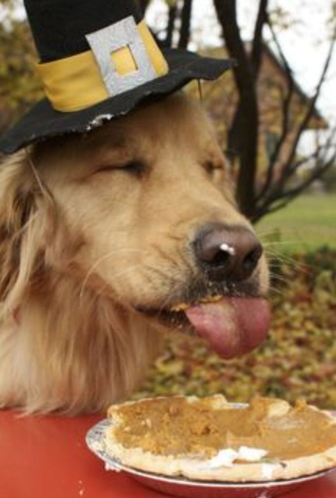 DAUGHTRY PHOTOGRAPHY - Vallejo, California - Session Photography ...