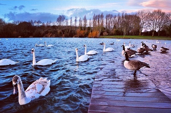 COSMESTON LAKES COUNTRY PARK - Updated June 2024 - 15 Reviews ...