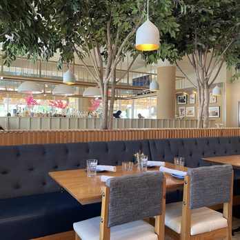 THE FINCH - Updated October 2025 - 335 Photos & 233 Reviews - 5307 East ...