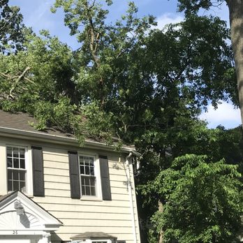 JESUS TREE EXPERT - Updated December 2025 - 19 Reviews - 158 N 8th St ...