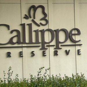 CALLIPPE PRESERVE - 195 Photos & 154 Reviews - 8500 Clubhouse Dr ...