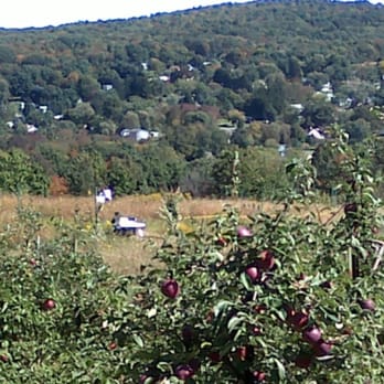 LONE MAPLE FARM - Updated January 2026 - 23 Photos & 16 Reviews - 2001 ...