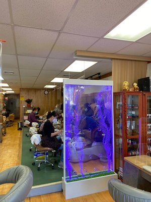 ACE BEAUTY SALON Massapequa, NY - Updated November 2024 - 14 Photos ...