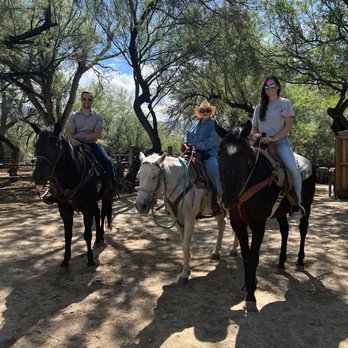 HOUSTON’S HORSEBACK RIDING - Updated December 2025 - 80 Photos & 50 ...