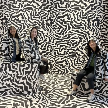 PARADOX MUSEUM - Updated January 2025 - 236 Photos & 87 Reviews - 2301 ...