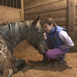 Best Horse Boarding Near Me - October 2025: Find Nearby Horse Boarding ...