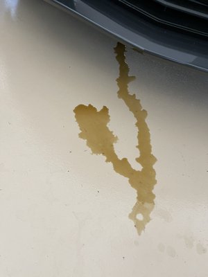 RICK HENDRICK CHEVROLET NAPLES - Updated January 2026 - 51 Photos & 115 ...