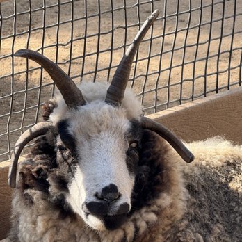 OC ZOO IRVINE REGIONAL PARK - Updated October 2025 - 111 Photos & 41 ...