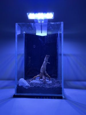 CK FISH WORLD - Updated December 2024 - 415 Photos & 457 Reviews - 541 ...