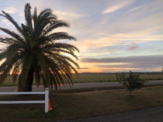 MAGNOLIA FARMS RV PARK - Updated February 2025 - 28 Photos - 13381 ...