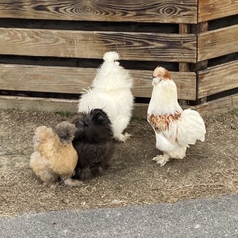 IT’S A ZOO LIFE - Updated December 2025 - 133 Photos & 15 Reviews ...