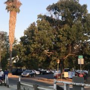 NEWHALL COMMUNITY PARK - 208 Photos & 91 Reviews - Dog Parks - Turtle ...