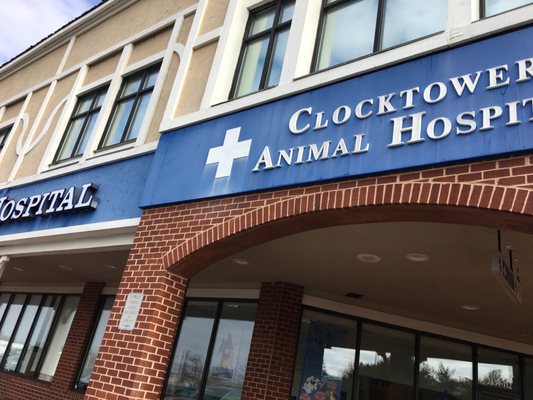CLOCKTOWER ANIMAL HOSPITAL - 43 Photos & 204 Reviews - 2451 Centreville ...