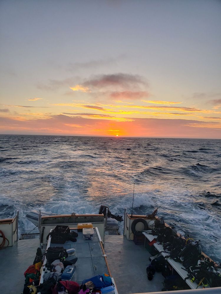 PEACE DIVE - Updated May 2026 - 34 Photos & 42 Reviews - 1691 Spinnaker ...