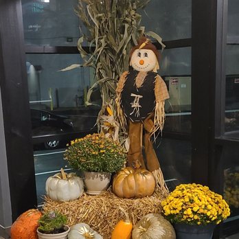 MICHAEL’S CAFE - Updated July 2025 - 469 Photos & 467 Reviews - 2119 ...