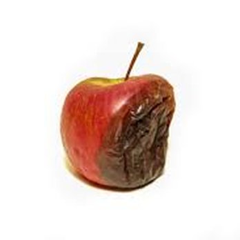 APPLE STORE - Updated December 2025 - 29 Photos & 162 Reviews - 702 N ...