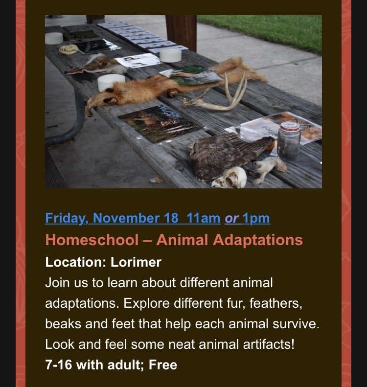 LORIMER PARK - Updated August 2025 - 26 Photos - 183 Moredon Rd ...