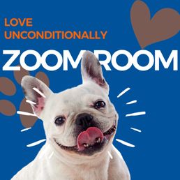 Zoom Room Reviews | Read Customer Service Reviews of zoomroom.com