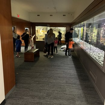 TEXAS SCIENCE & NATURAL HISTORY MUSEUM - Updated October 2025 - 174 ...