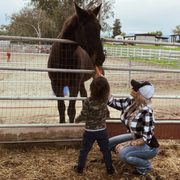 SUSIE Q RANCH - 192 Photos & 154 Reviews - 28330 Mary Pl, Murrieta, CA ...