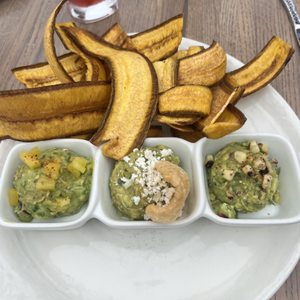 PALMILLA COCINA Y TEQUILA - 1560 Photos & 1942 Reviews - 39 Pier Ave ...