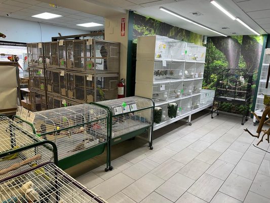 EXOTIC BIRD SHOP - Updated December 2025 - 20 Photos - 2025 Rawsonville ...