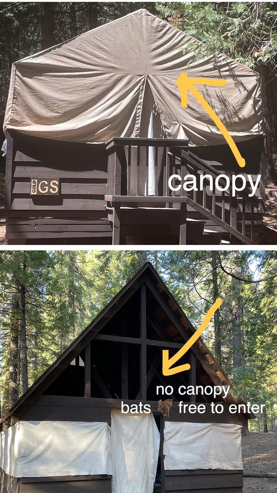 LAIR OF THE GOLDEN BEAR - 16 Photos & 29 Reviews - 1 Camp Blue Rd ...