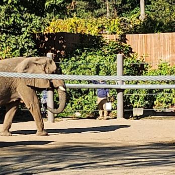 ROGER WILLIAMS PARK ZOO - Updated July 2025 - 1339 Photos & 308 Reviews ...