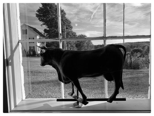 SHAW’S RIDGE FARM - Updated October 2025 - 13 Photos & 39 Reviews - 59 ...