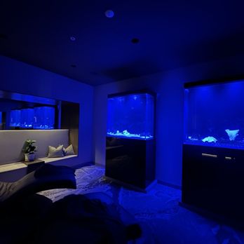 DOLCE VITA WELLNESS & MEDICAL SPA - Updated June 2025 - 315 Photos ...