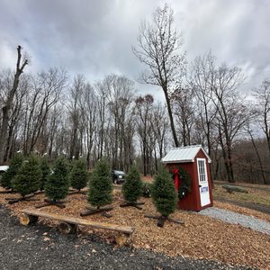 THE DEVIL’S TREE - Updated December 2025 - Mountain Rd, Basking Ridge ...