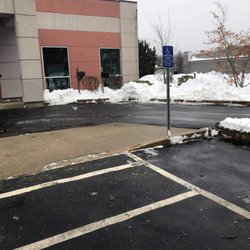 ORV LANDSCAPING - 46 Photos - Worcester, Massachusetts - Landscaping ...