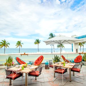 AVIV - Updated December 2025 - 105 Photos & 33 Reviews - 2341 Collins ...