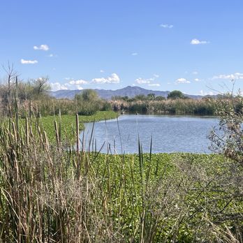 TRES RIOS WETLANDS - Updated October 2025 - 43 Photos - Phoenix ...