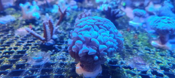 THAT FISH PLACE - THAT PET PLACE - 120 Photos & 112 Reviews - 237 ...