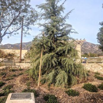 ALTADENA TRIANGLE PARK - TEMP. CLOSED - Updated October 2025 - 18 ...